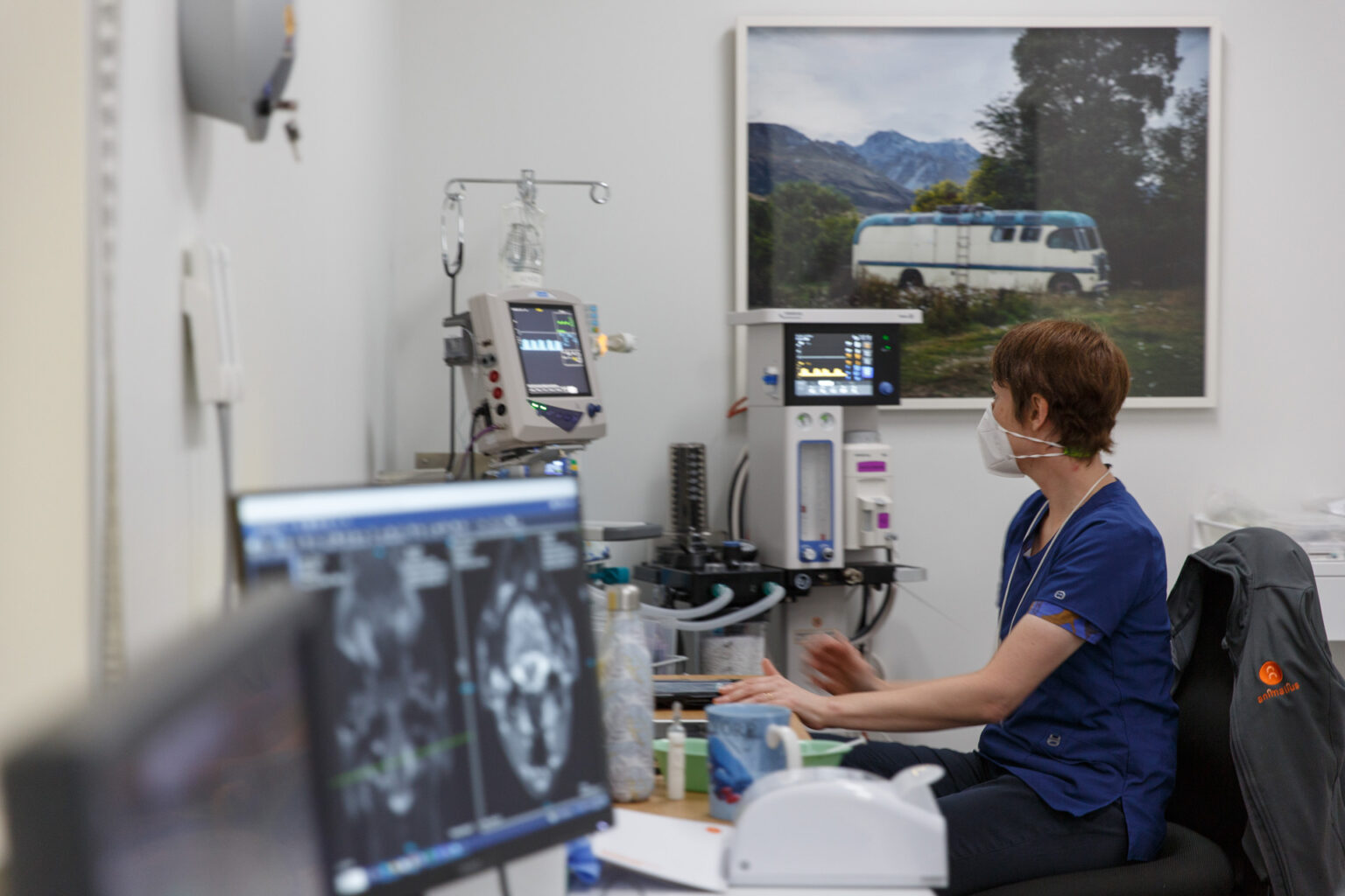 Specialist Positions Available Now – Animalius