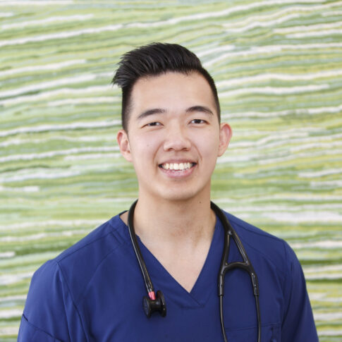 Our Team – Animalius