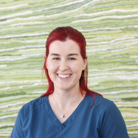 Our Team – Animalius