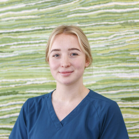 Our Team – Animalius