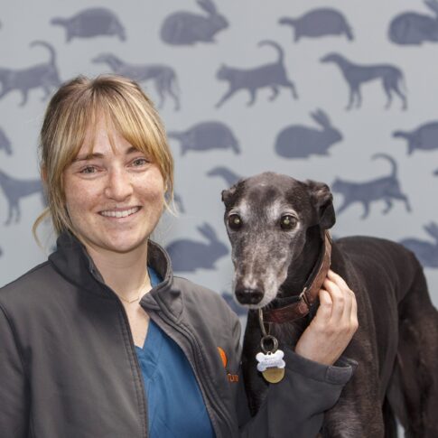 Our Team – Animalius