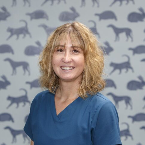 Our Team – Animalius