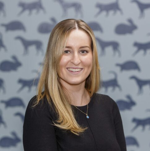 Our Team – Animalius