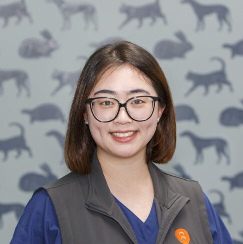 Our Team – Animalius